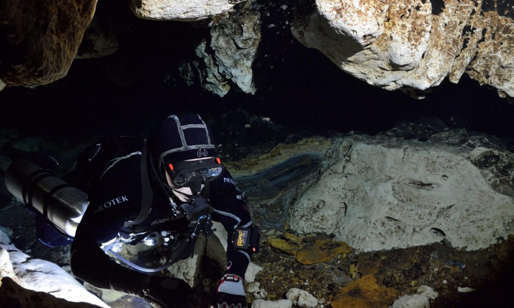 Staff - North Florida Cave Training