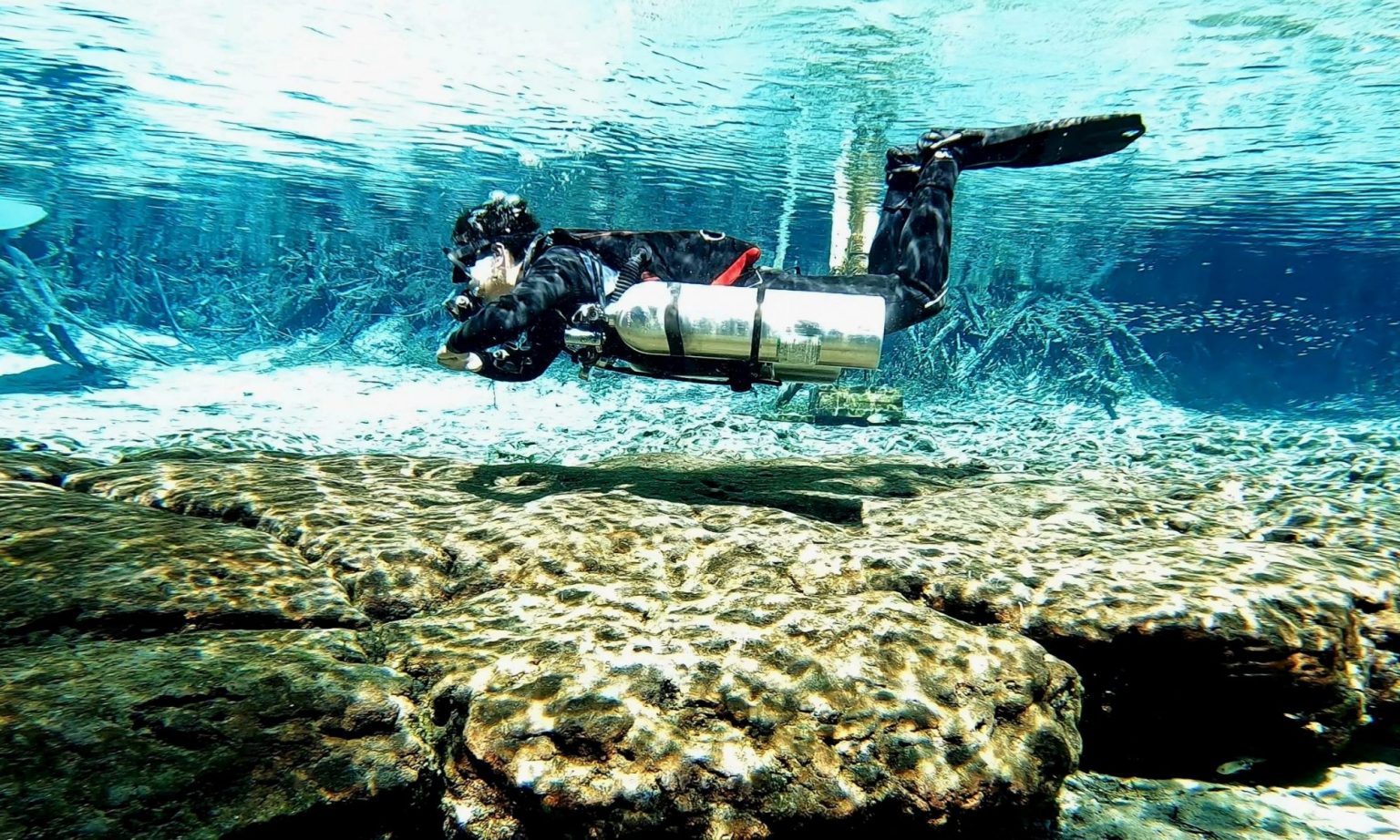 Technical Course Questionnaire - North Florida Cave Training